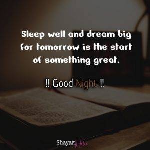 149+ Good Night Quotes With Images 😴 (Inspiring & Loving)