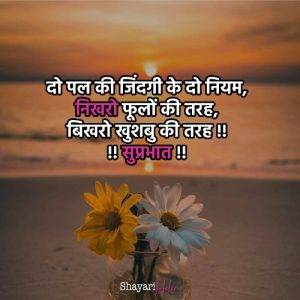 241+ Good Morning Shayari in Hindi 🌞 - गुड मॉर्निंग शायरी